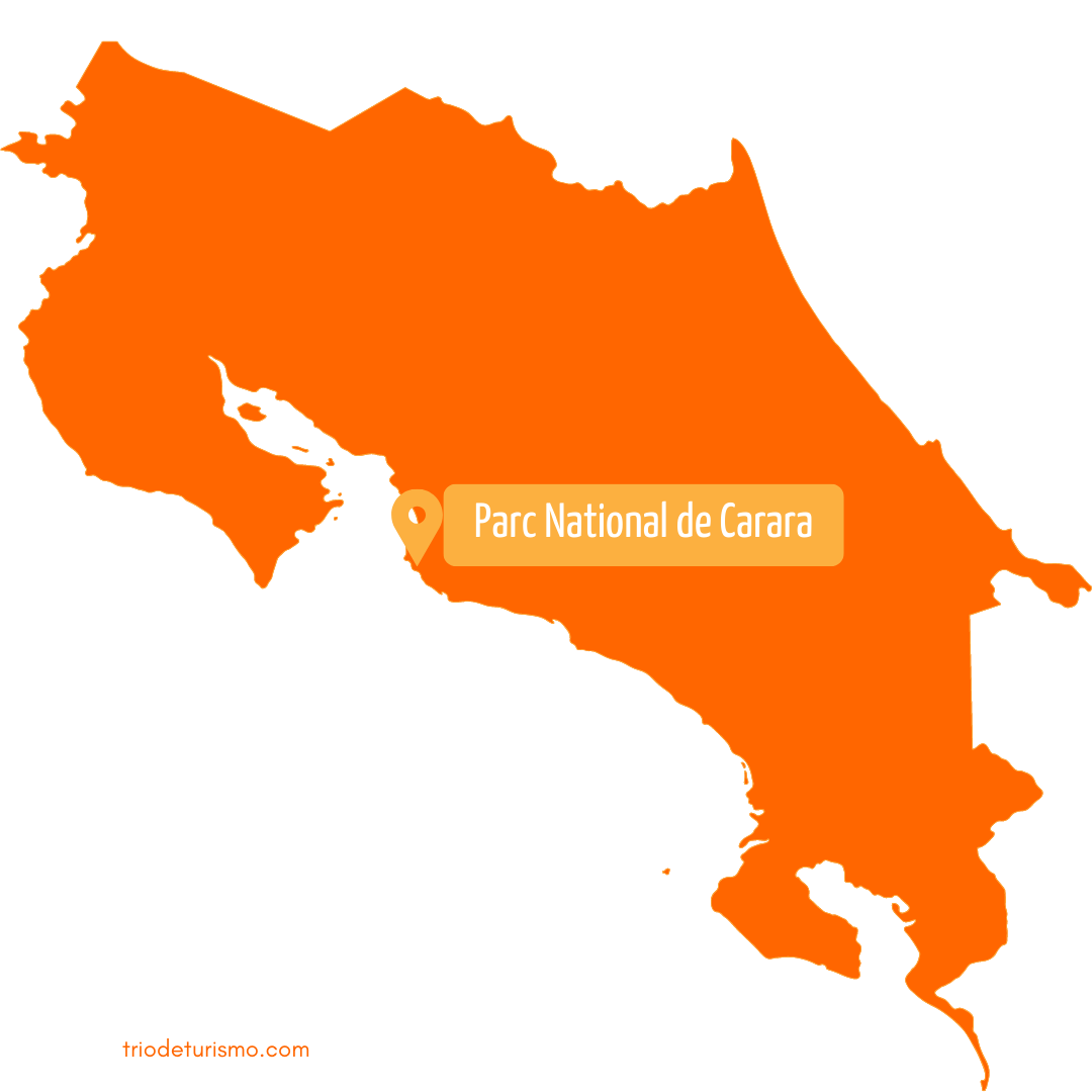 Trio de turismo - Trio de Turismo Voyages au Costa Rica