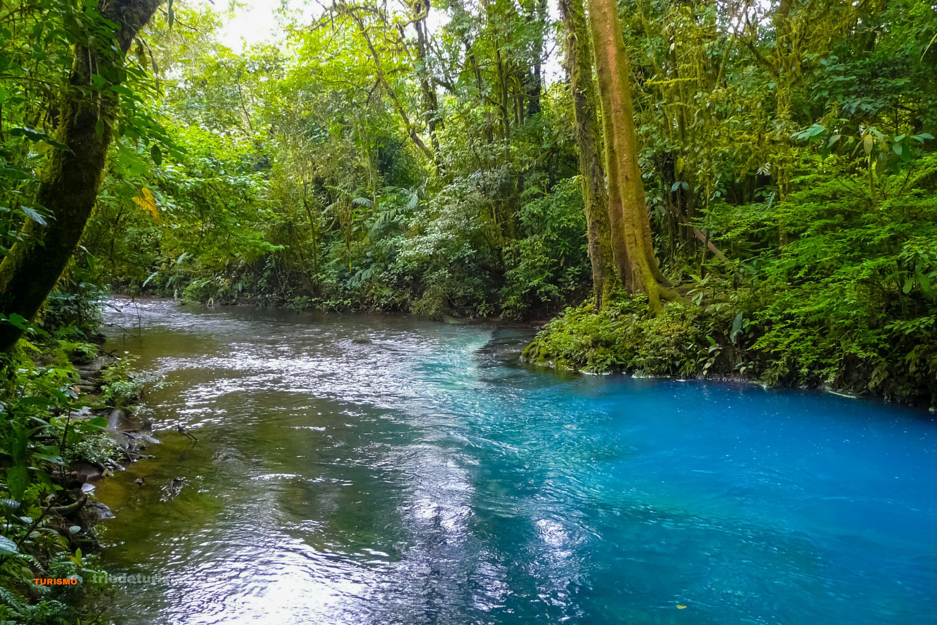 Le parc national du Volcan Tenorio : Sejour au Costa Rica
