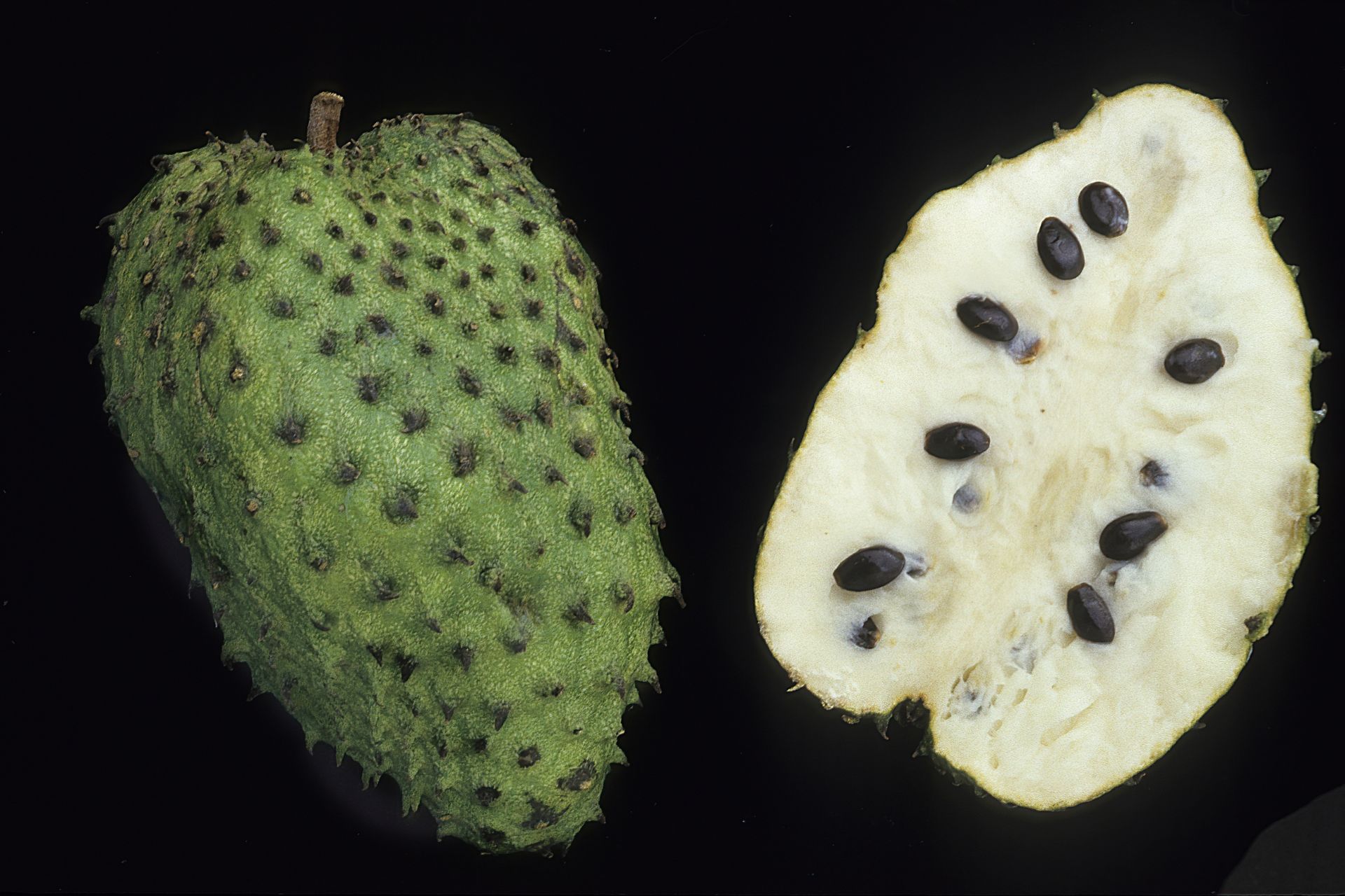 La Guanábana : Le Fruit Tropical aux Vertus Étonnantes du Costa Rica ...
